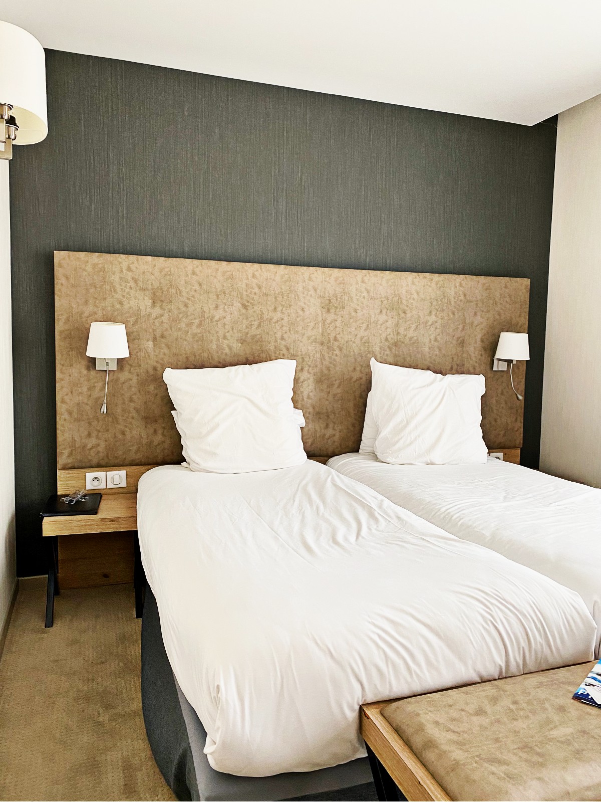 Dove dormire a Lourdes: perfetto l'Hotel Le Rive Droite e SPA ...